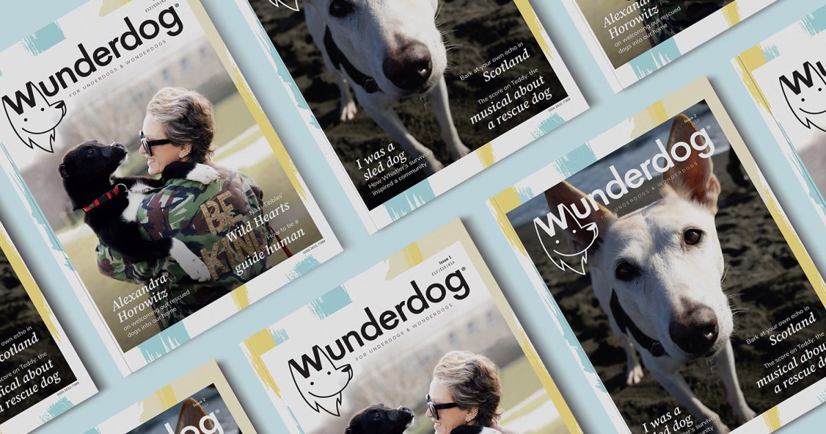 Designing Wunderdog – the feel-good magazine for rescue… | NU Creative